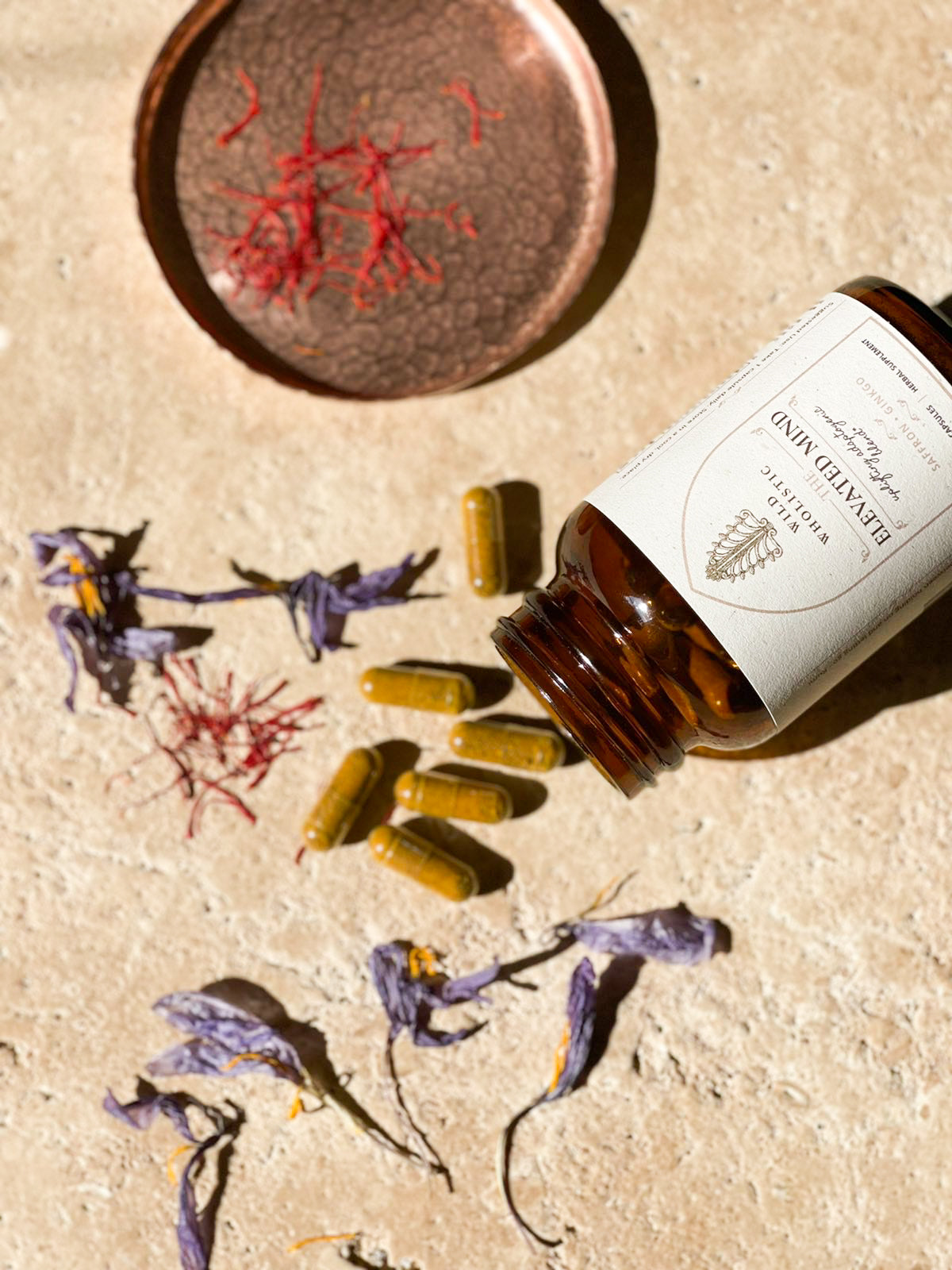 THE ELEVATED MIND – wellbazaar